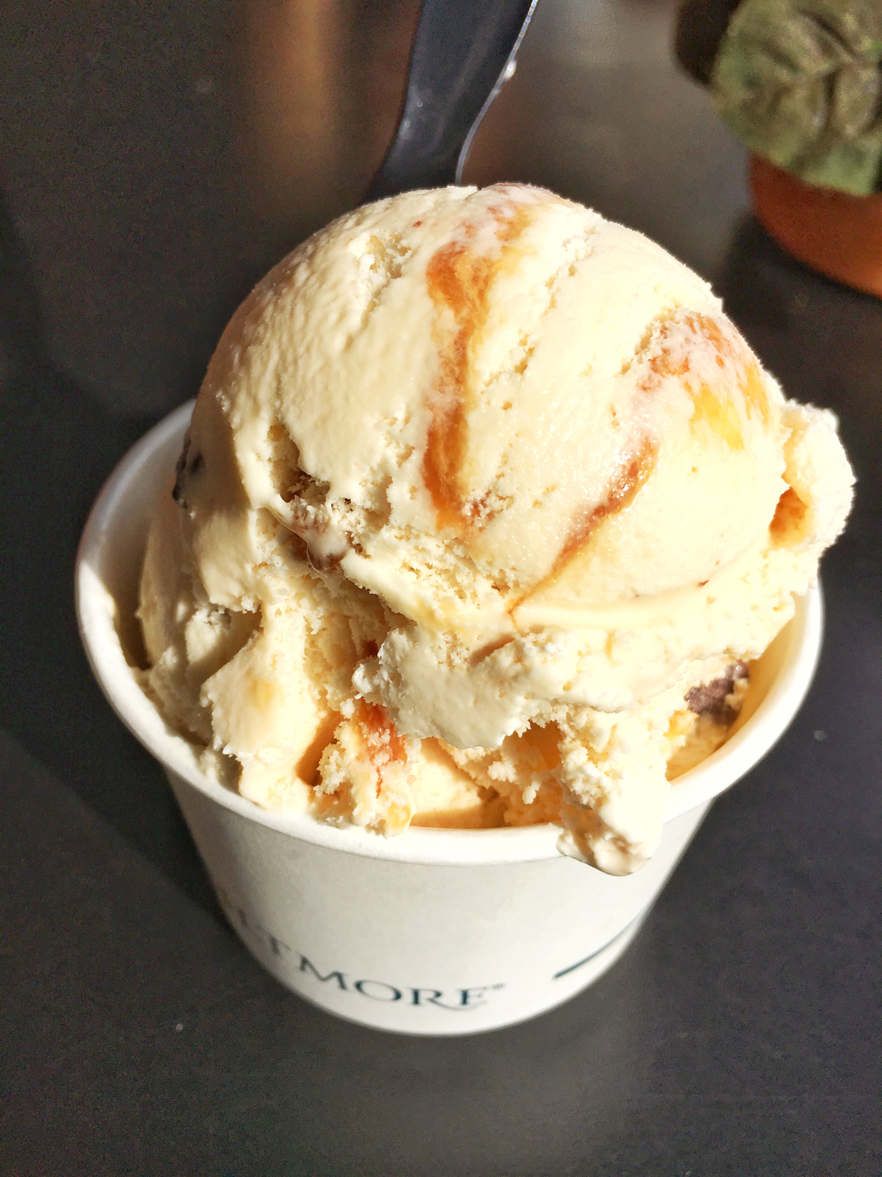 Ice cream and wine at The Biltmore Estate | Edible Reflections